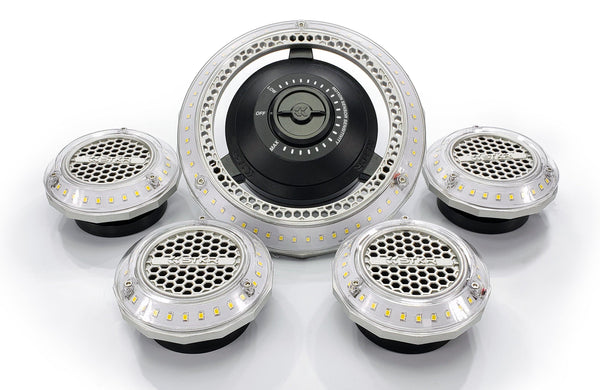 Risk Racing MPi Sale (Erhalten Sie eine $50 Geschenk-Karte GRATIS ...